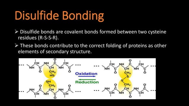 Post translational modification of protein | PPTX