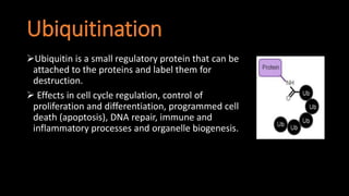 Post translational modification of protein | PPTX