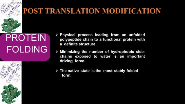 Post translational modification of protein | PPTX