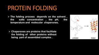 Post translational modification of protein | PPTX