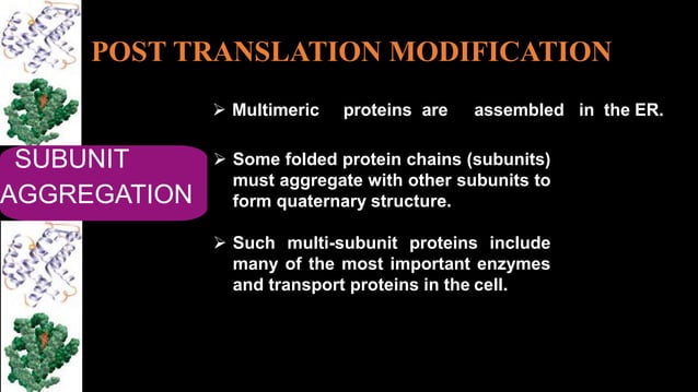 Post translational modification of protein | PPTX
