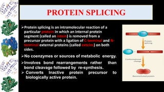 Post translational modification of protein | PPTX