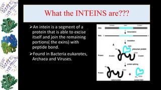 Post translational modification of protein | PPTX