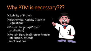 Post translational modification of protein | PPTX