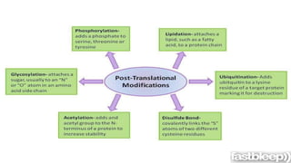 Post translational modification of protein | PPTX