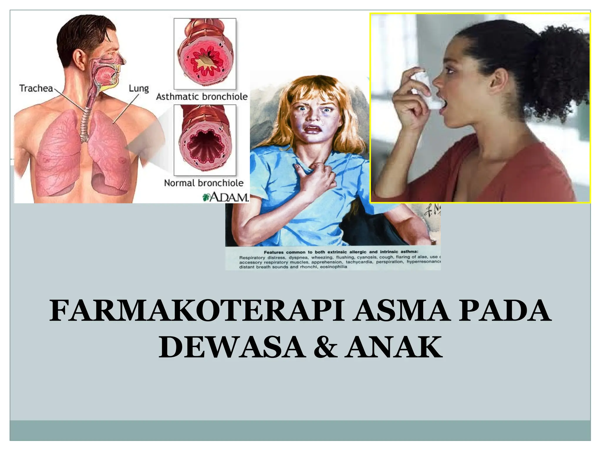PPT patofisiologi klasifikasi farmakoterapi aSMA.ppt