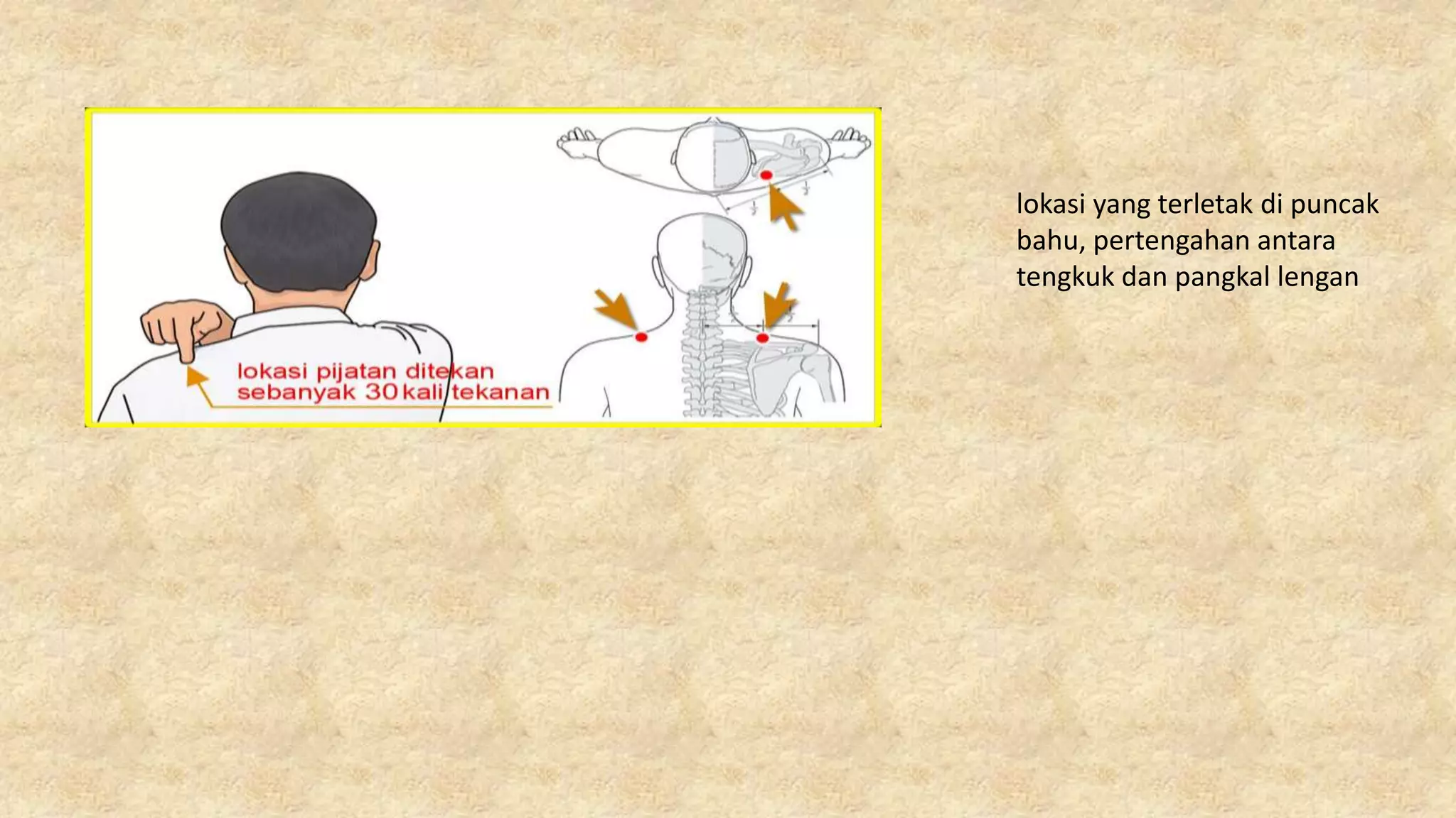 PPT ASMAN TOGA SEKOLAH.pptx