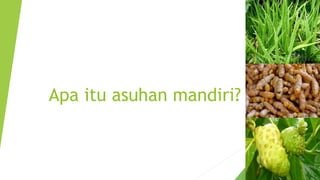 PPT ASMAN TOGA SEKOLAH.pptx