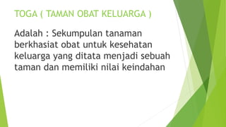 PPT ASMAN TOGA SEKOLAH.pptx