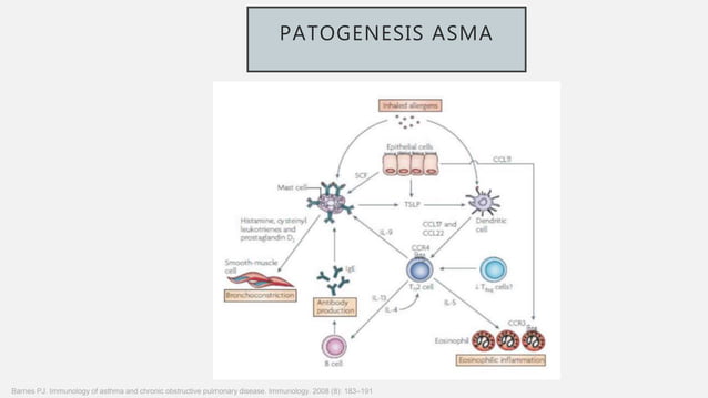 PPT Asma Prof Kel B.pptx