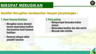 Hama dan Penyakit tanaman budidaya pertanian | PPTX