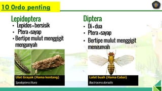 Hama dan Penyakit tanaman budidaya pertanian | PPTX