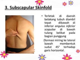 Subscapular Skinfold