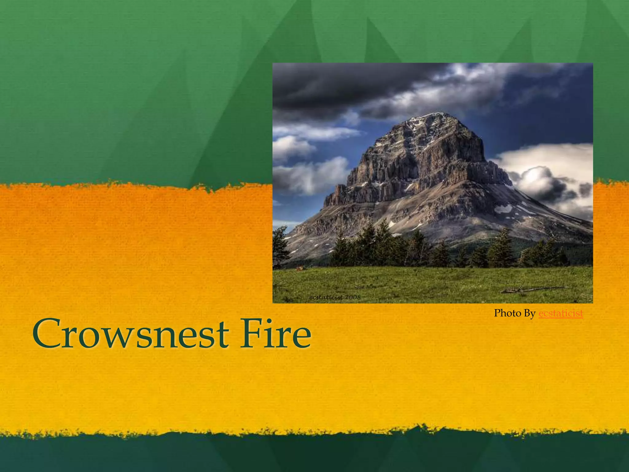 Ppt Assignment | PPTX