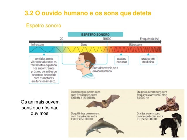 atributos do som e ouvido humano