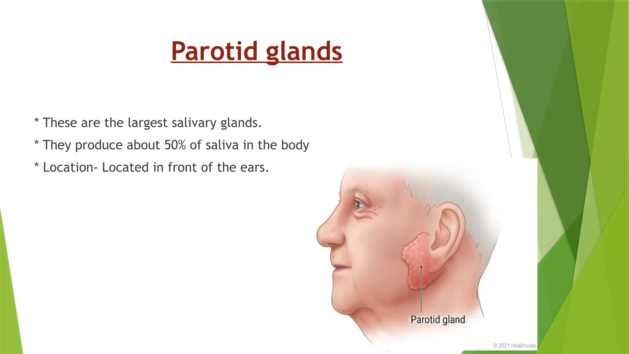 ppt (audio-visual presentation) (1).pptx