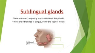 ppt (audio-visual presentation) (1).pptx
