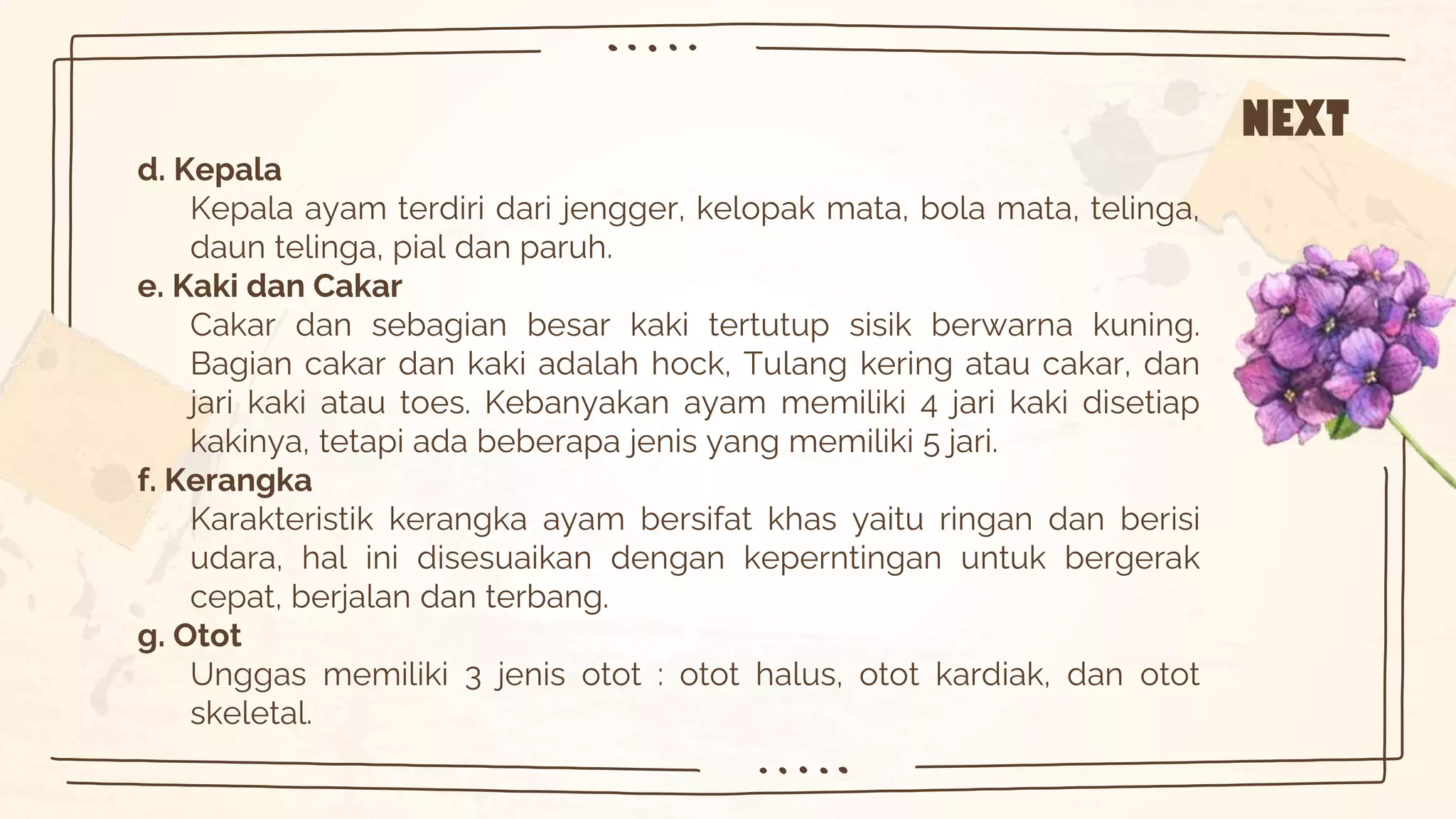 PPT AYAM.pptx