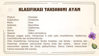 PPT AYAM.pptx