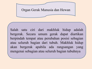 PPT AYIK cantiknya putri arab Saudi dan remes ayok.pdf
