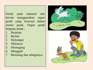 PPT AYIK cantiknya putri arab Saudi dan remes ayok.pdf