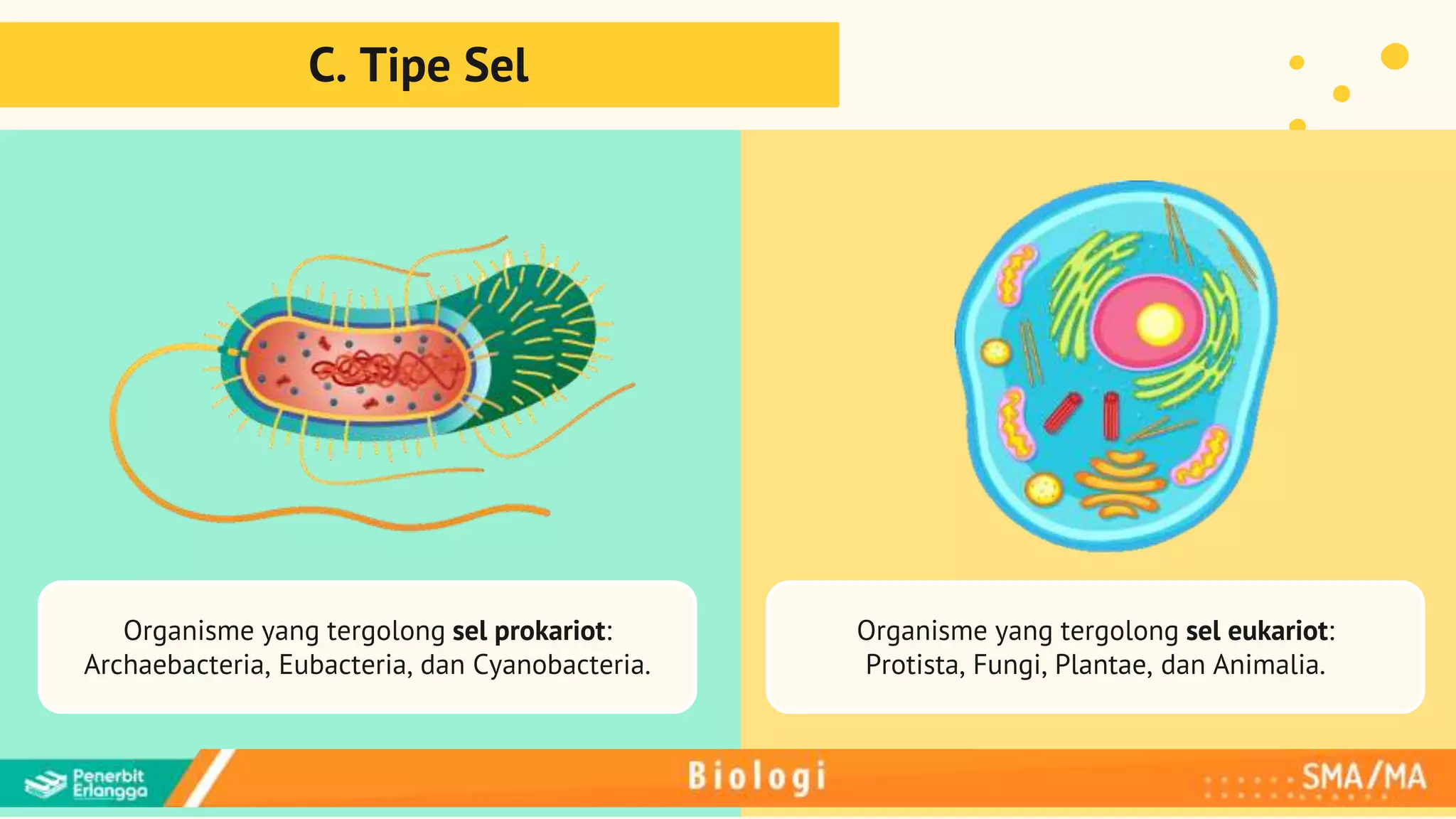 PPT Bab 1 Biologi Kelas XI Kur-Merdeka.pptx