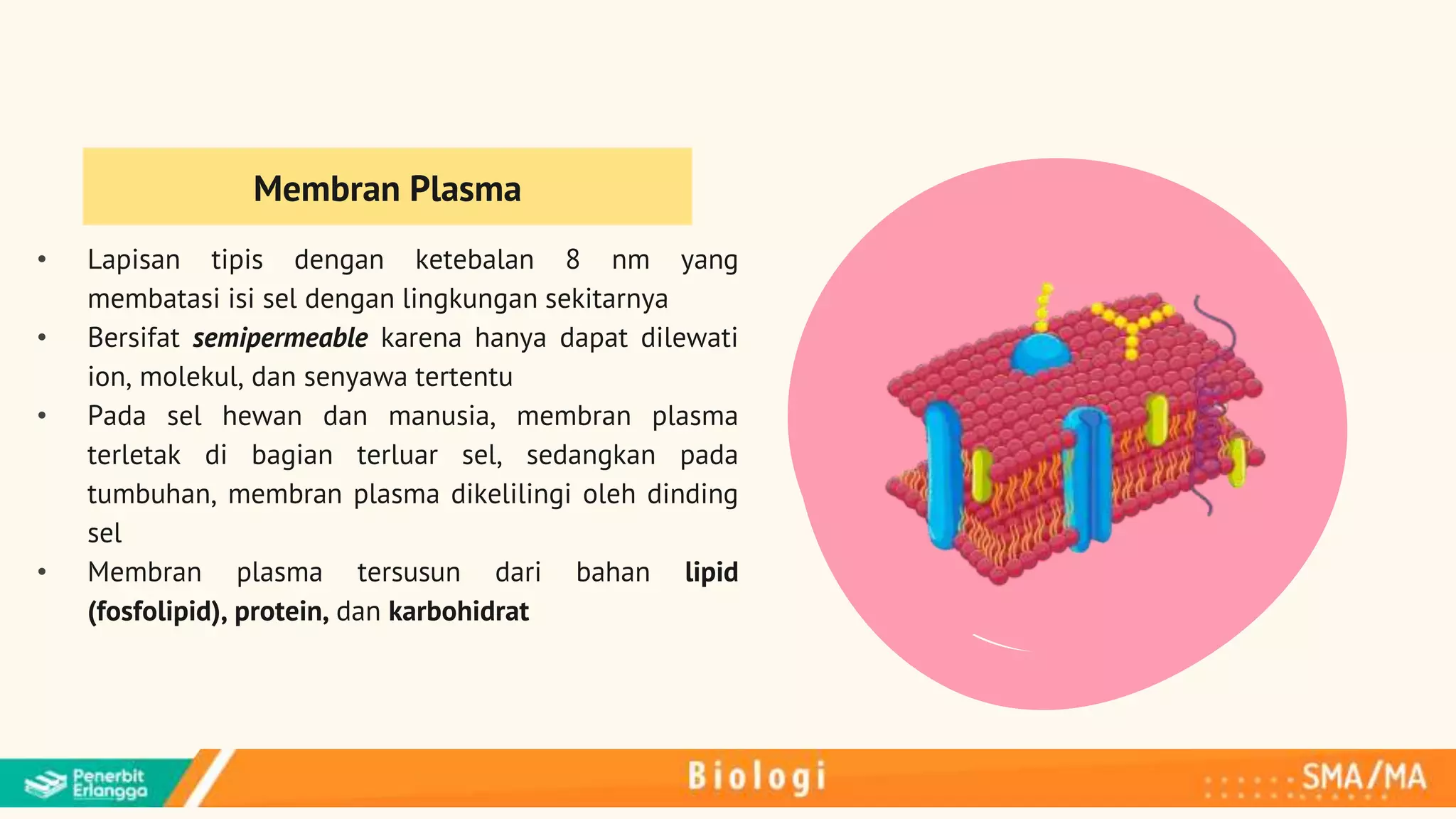 PPT Bab 1 Biologi Kelas XI Kur-Merdeka.pptx