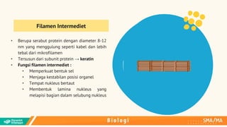 PPT Bab 1 Biologi Kelas XI Kur-Merdeka.pptx