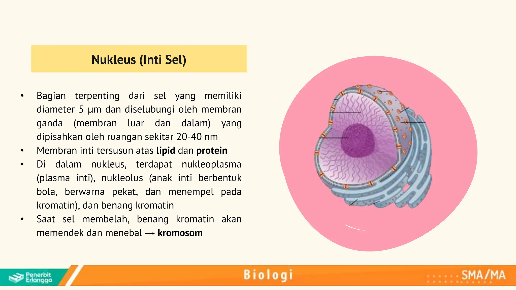 PPT Bab 1 Biologi Kelas XI Kur-Merdeka.pptx