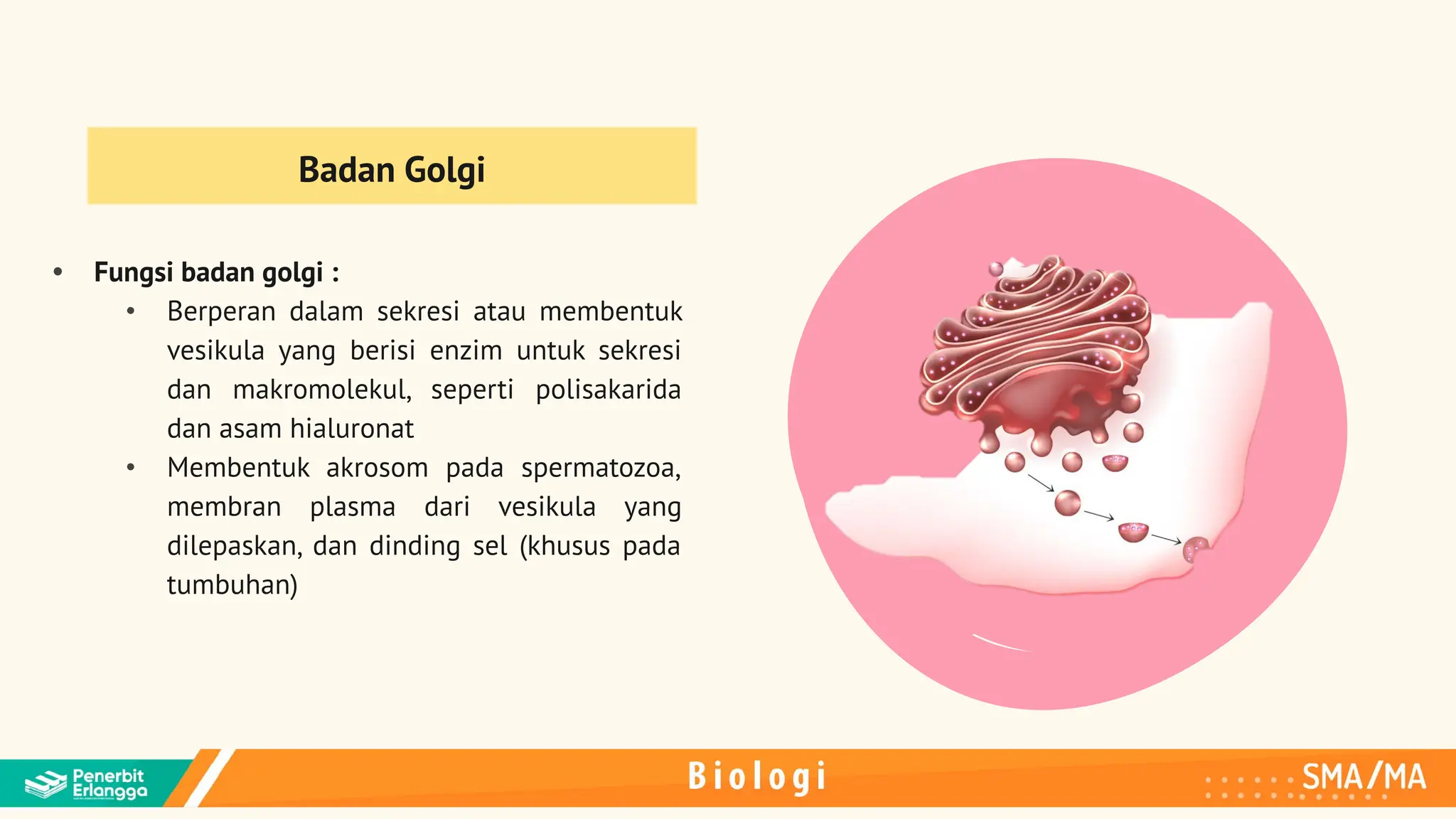 PPT Bab 1 Biologi Kelas XI Kur-Merdeka.pptx.pdf