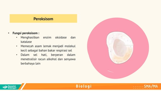 PPT Bab 1 Biologi Kelas XI Kur-Merdeka.pptx.pdf
