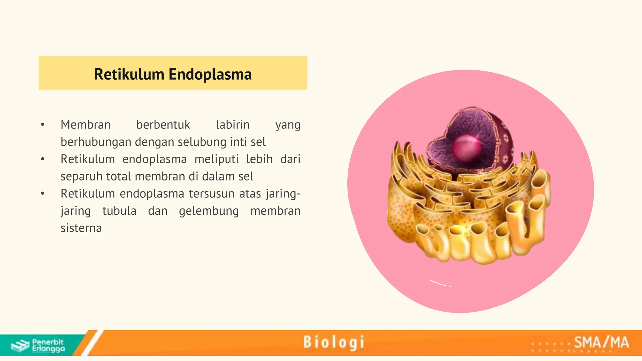 PPT Bab 1 Biologi Kelas XI Kur-Merdeka.pptx