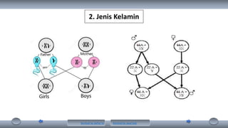 PPT BAB 1 HEREDITAS MANUSIA 1.pptx
