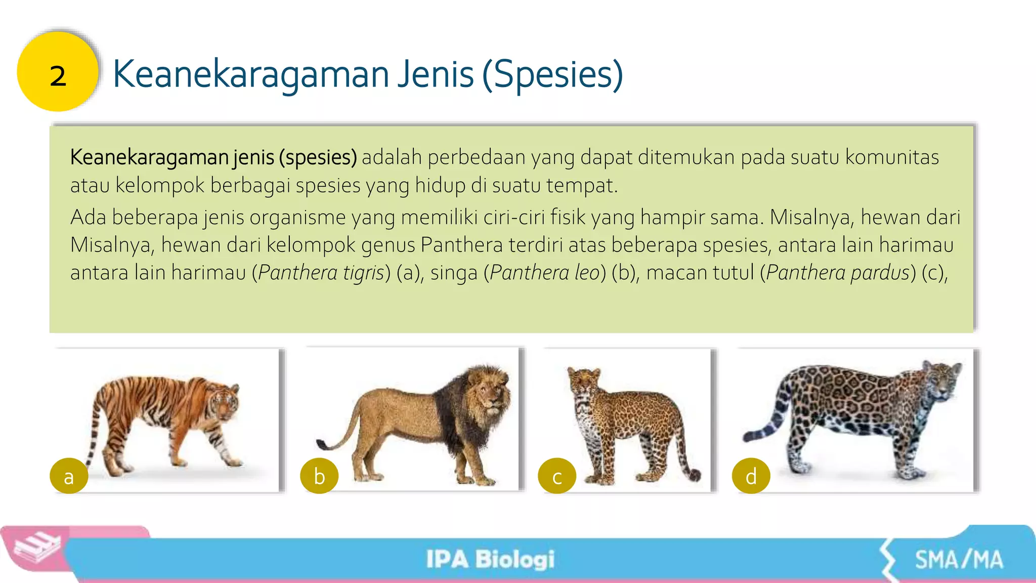 Bab 1 IPA Biologi Kelas X | PPTX
