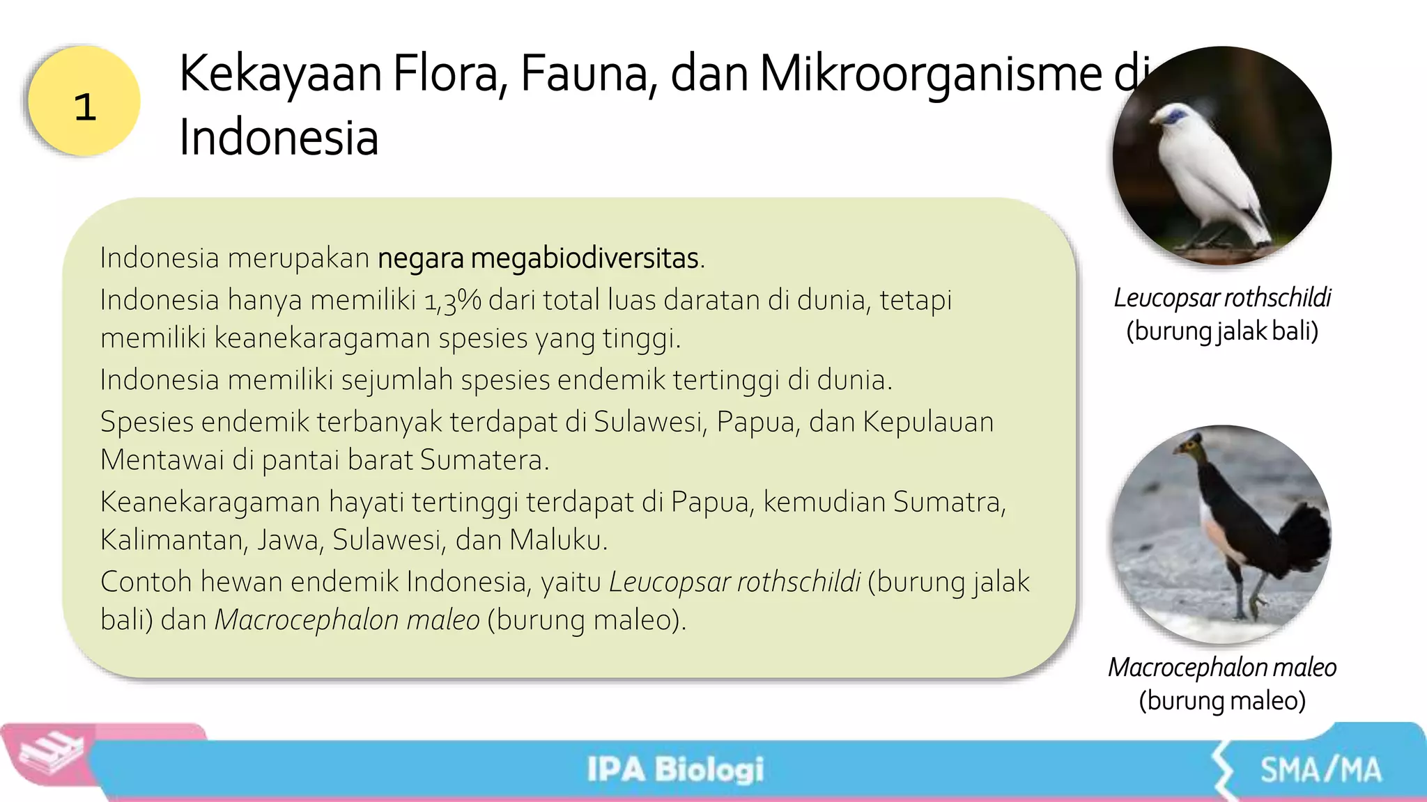 PPT Bab 1 IPA Biologi Kelas X Kur Merdeka.pptx