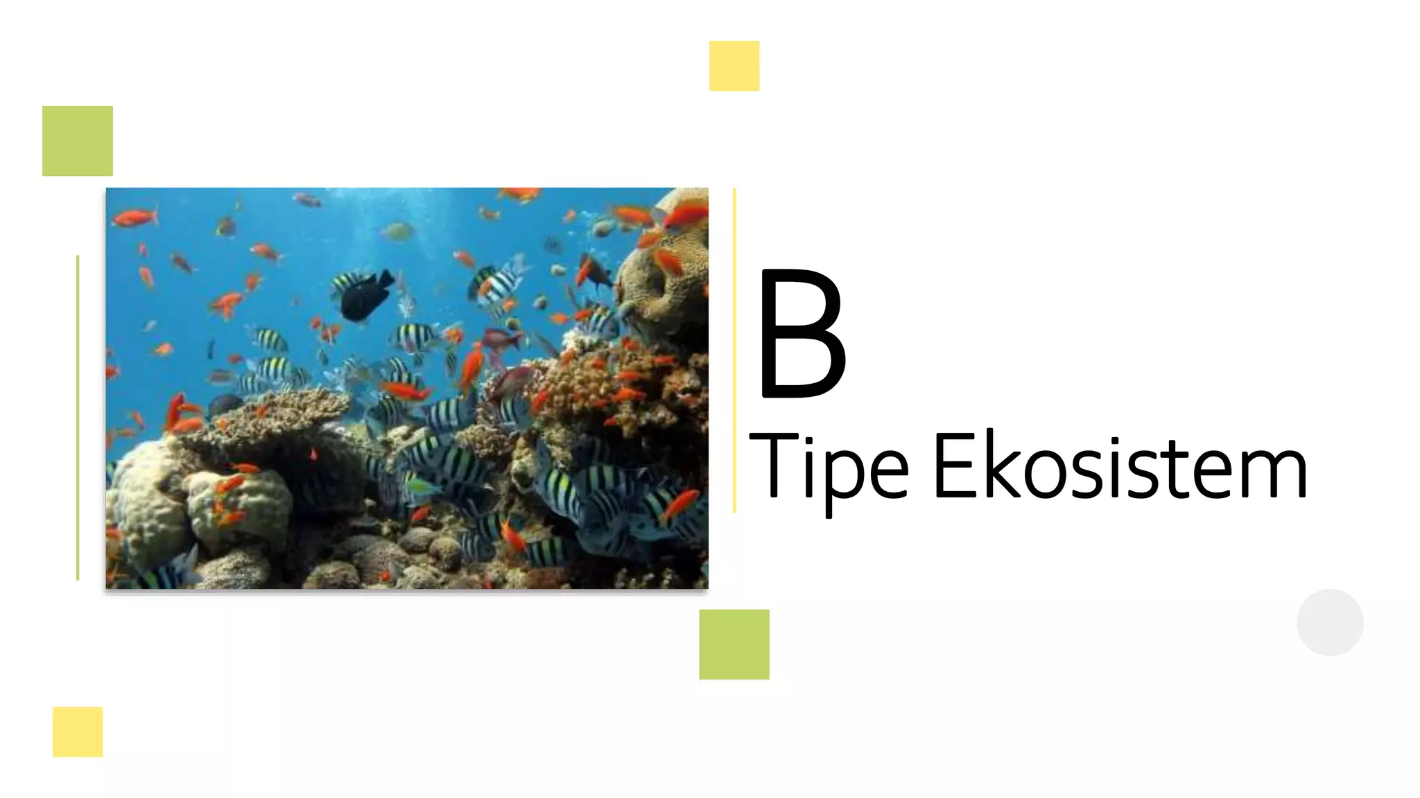 PPT Bab 1 IPA Biologi Kelas X Kur Merdeka.pptx