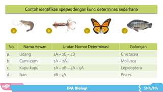 PPT Bab 1 IPA Biologi Kelas X Kur Merdeka.pptx