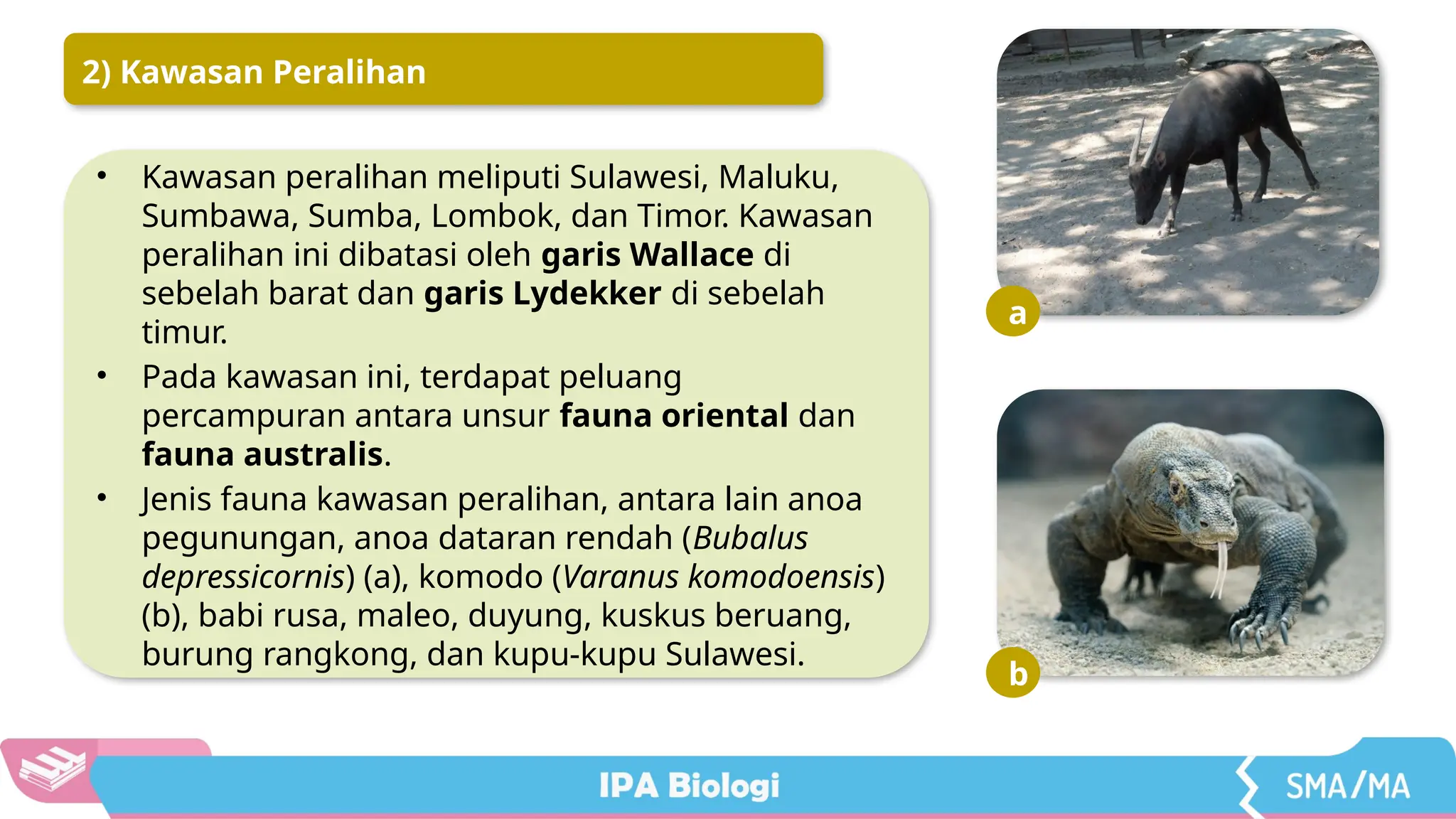 PPT Bab 1 IPA Biologi Kelas X Kur Merdeka.pptx