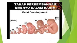 PPT BAB 1 IX Sistem Reproduksi.pptx.pdf