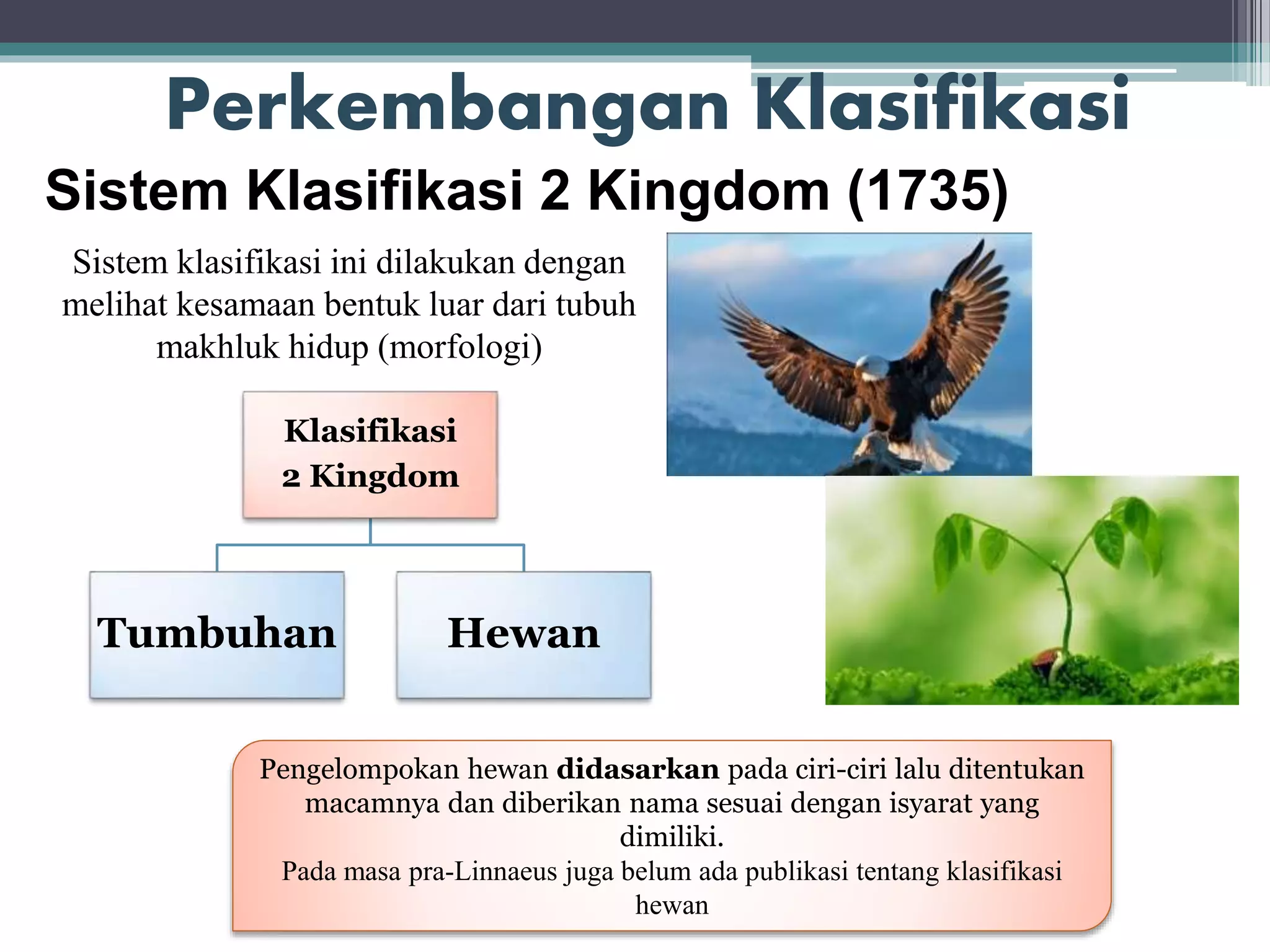 Klasifikasi Makhluk hidup dan dasar pengklasifikasian makhluk hidup- Zoologi Invertebrata | PPTX