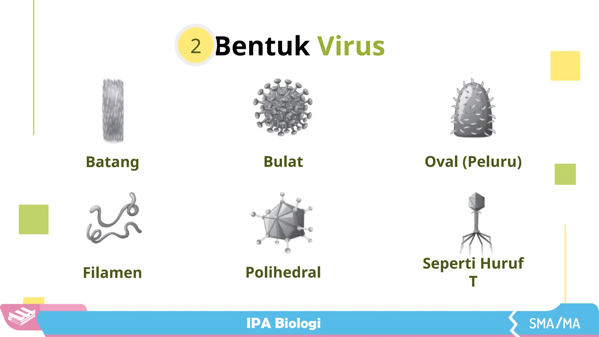 PPT Bab 2 untuk kelas 10 tentang Virus pptx | PPTX