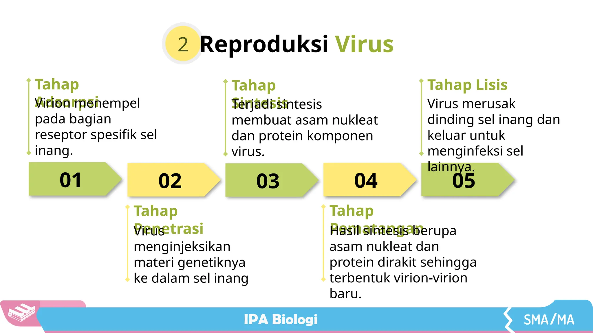 PPT Bab 2 untuk kelas 10 tentang Virus pptx | PPTX