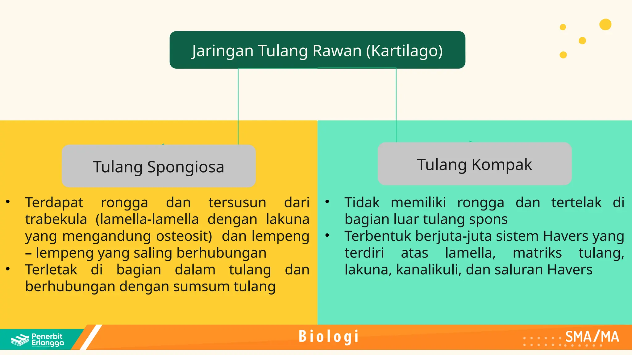 PPT Bab 2 Biologi Kelas XI Sistem Gerak.pptx