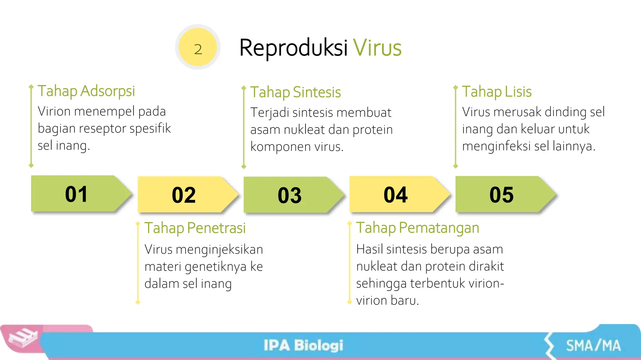 PPT Bab 2 IPA Biologi Kelas X Kur Merdeka.pptx