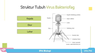 PPT Bab 2 IPA Biologi Kelas X Kur Merdeka.pptx