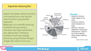 PPT Bab 2 IPA Biologi Kelas X Kur Merdeka.pptx