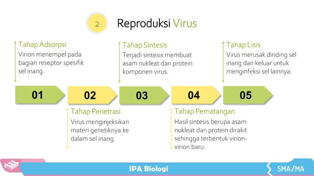 PPT Bab 2 IPA Biologi Kelas X Kur Merdeka.pptx