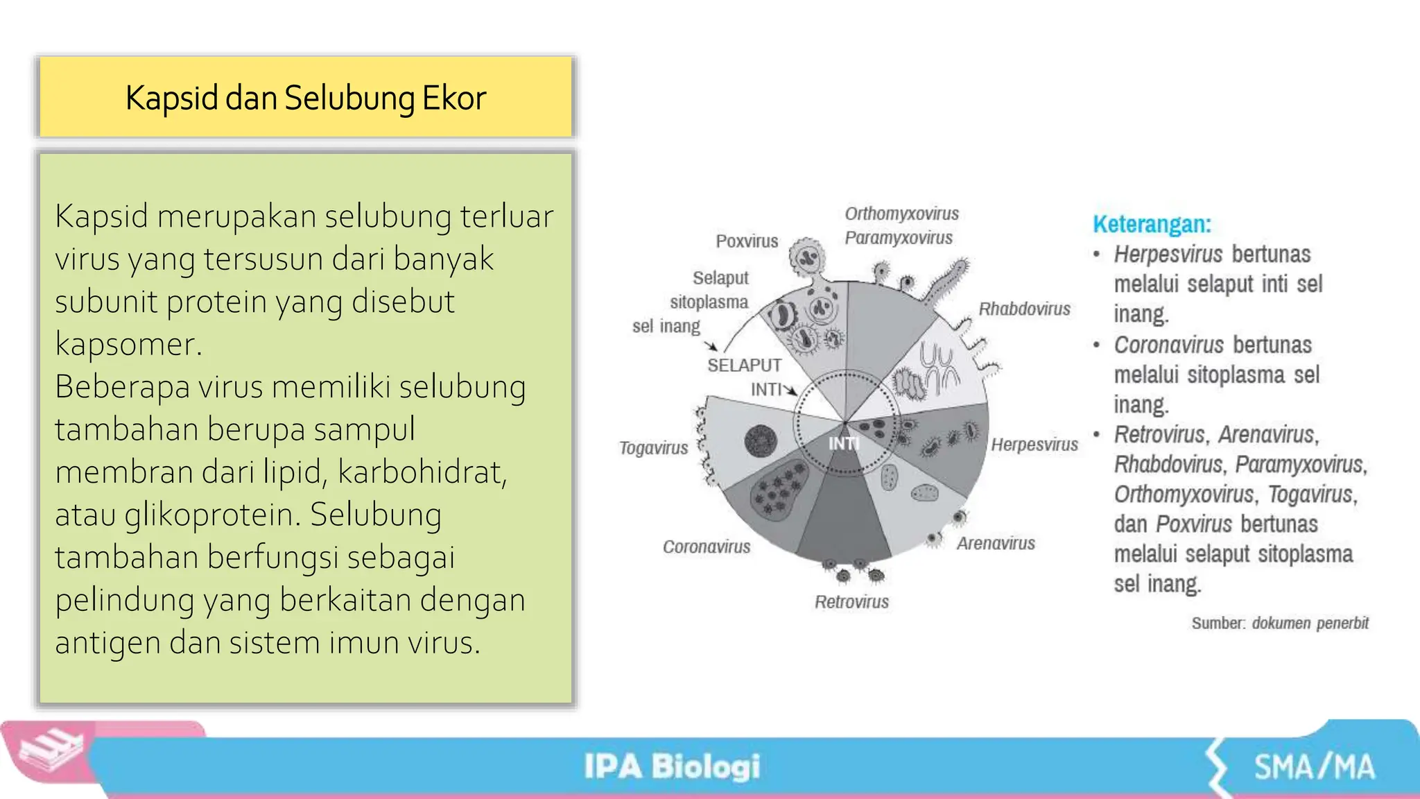 PPT Bab 2 IPA Biologi Kelas X Kur Merdeka.pptx