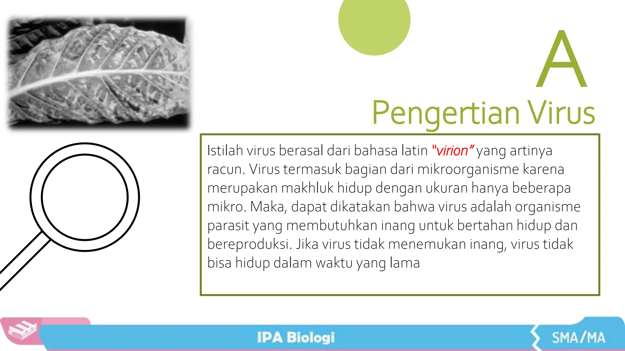 PPT Bab 2 IPA Biologi Kelas X Kur Merdeka.pptx