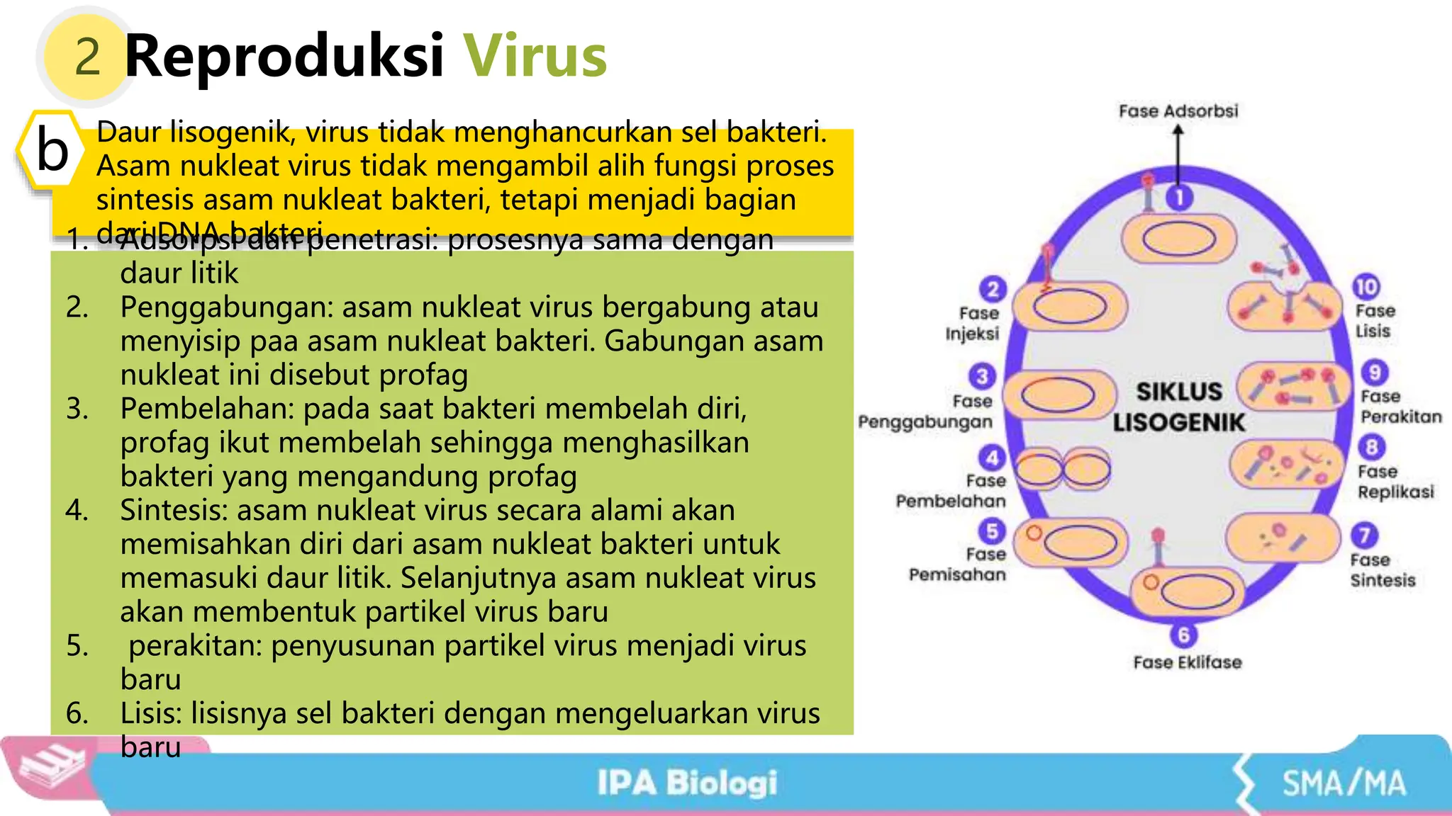 PPT Bab 2 IPA Biologi Kelas X Kur Merdeka.pptx